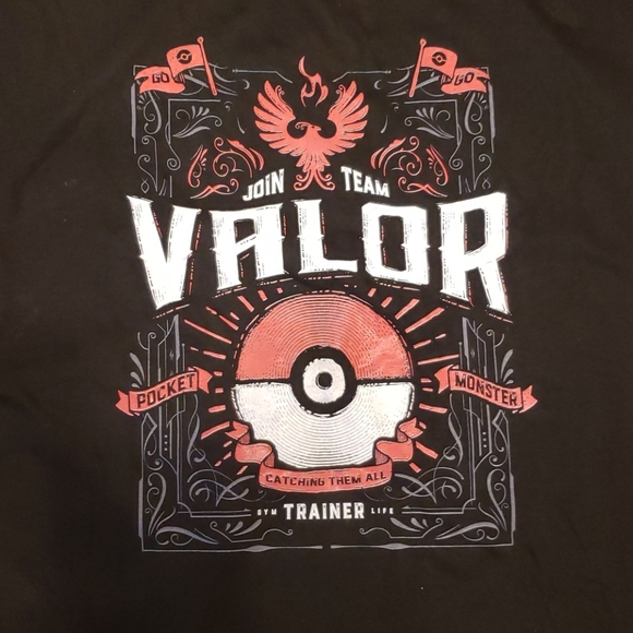 Tee Fury | Shirts | Rare Pokmon Go Team Valor Trainer Pocket Monster ...